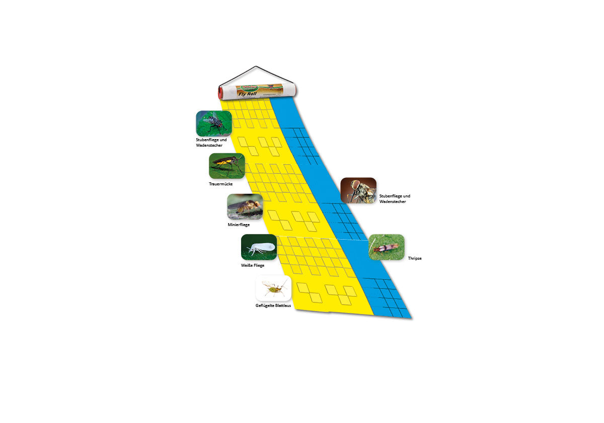 Sticky Multi Fly Roll – Naturstall